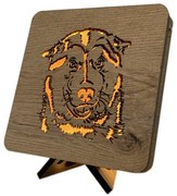 Li-Go "Husky" lampa 19x19cm provedení povrchu: jedle