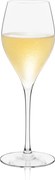Rona sklenice Champagne 290 ml 6 ks