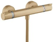 Hansgrohe Ecostat Comfort - Termostatická sprchová baterie, kartáčovaný bronz 13116140