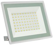 LED Venkovní reflektor NOCTIS LUX 3 LED/50W/230V IP65 bílá