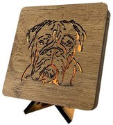 Li-Go "Boxer" lampa 19x19cm provedení povrchu: dub světlý
