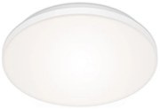 Briloner 7377-016 - LED Stmívatelné stropní svítidlo LED/12W/230V 3000-6500K