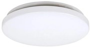Rabalux 3338 - LED Stropní svítidlo ROB 1xLED/20W/230V