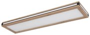 Globo 41589D4 - LED Stropní svítidlo CARLA LED/24W/230V 20x80 cm 41589D4
