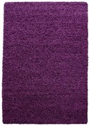 Tmavě fialový koberec 140x200 cm Life – Ayyildiz Carpets