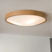 Brilagi-LED RGBW Stmív. strop. sv. CARVALHO SLIM 3xE27/15W/230V Wi-Fi dub pr. 47