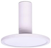 Rabalux 71328 - LED Stropní svítidlo OVIDIA LED/20W/230V 3000K bílá