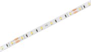 T-LED 079402 LED pásek 50M24HQ6048 50m vnitřní záruka 3 roky Studená bílá