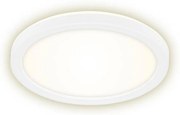 Briloner 7150-416 - LED Stropní svítidlo SLIM LED/12W/230V pr. 19 cm