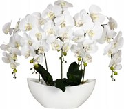 Orchidej Umělá Silikonová Orchidej 5 Výhonků Velká