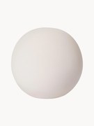 Dekorace Globe