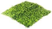 Umělý živý plot Hawaj Buxus | Stěna 100 x 100 cm