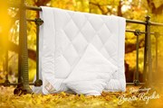 Ložnice21. Celoroční set Aloe Vera pro hluboký spánek Rozměr: set: 50x70 cm (400g) zip + 135x200 cm (1000g)
