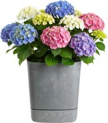 PLASTOVÝ KVĚTINÁČ CUBI 34X36,5 CM IMITACE BETONU ŠEDÁ