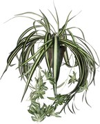 Mica Decorations Umělá květina Chlorophytum 45 cm