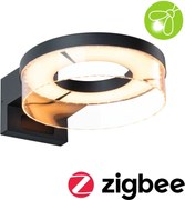 P 93113 LED venkovní nástěnné svítidlo Smart Home Zigbee 3.0 Capea pohybové čidlo neláká hmyz IP44 231mm CCT 12,5W 230V antracit hliník - PAULMANN