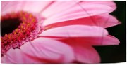 Sablio Ručník Růžová gerbera - 30x50 cm