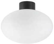 Ideal Lux - Venkovní stropní svítidlo CLIO 1xE27/42W/230V IP44 černá