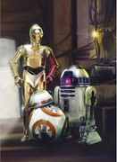 Komar Papírová fototapeta STAR WARS Three Droids, 184 x 254 cm