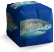 Sablio Taburet Cube Žralok - 40x40x40 cm