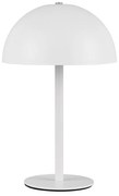 Matně bílá LED stolní lampa s kovovým stínidlem (výška 21 cm) Munoz – Trio