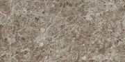 Dlažba Porcelaingres Estro brown 60x120 cm mat X126474X8