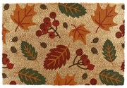 Rohožka z kokosového vlákna 40x60 cm Autumn Leaves – Artsy Doormats