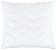 Bellatex Výplňkový polštář s proševem bílá rozměr 40x40 cm, 220g
