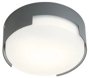 Redo 90003 - LED Venkovní stropní svítidlo SKOR LED/12W/230V IP54 šedá