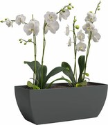 Truhlík z recyklovaného plastu 30 cm Siena – Artevasi