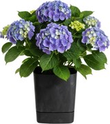 PLASTOVÝ KVĚTINÁČ CUBI 34X36,5 CM IMITACE BETONU ČERNÁ