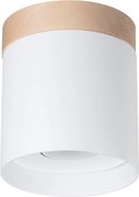 Sollux Lighting Stropní svítidlo RIF bílé