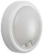 Rabalux 77029 - LED Venkovní nástěnné svítidlo se senzorem LED/15W/230V IP54