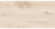 Dlažba Rmtc Wood 612 6011 Rustic Carving 60/120