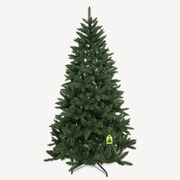Smrk Kanadský 180 cm