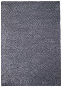 Vopi, Kusový koberec Apollo Soft antra, 60x110, šedá, chodba / předsíň