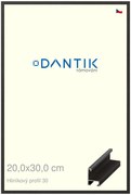 DANTIK rámeček 20x30 | ALU profil 6030 Dýha černá (Sklo Čiré)