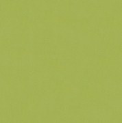 Lentex, PVC podlaha - lino Flexar PUR 603-11 zelená, na míru, šíře 2m,4m, zelená, bez podkladu, kancelář