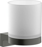 Hansgrohe AddStoris S - Držák kartáčků a pasty, matné sklo/kartáčovaný černý chrom 41769340