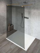 Gelco Vario - Sprchová stěna Walk-In do prostoru, 100x200 cm, Coated glass, matná zlatá/kouřové sklo GX1310-02