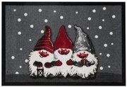 Hanse Home, Rohožka Vánoce - 3 trpaslíci 103037 - na ven i na doma, 40x60, červená, chodba / předsíň