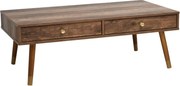 Konferenční stolek v tmavě přírodní barvě 59x110 cm Frida – Premier Housewares