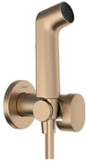 Hansgrohe - Nástěnný ventil s ruční bidetovou sprškou, kartáčovaný bronz 29230140