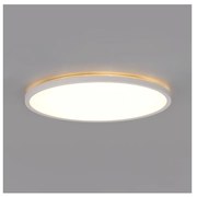LED Koupelnové stropní svítidlo NIVERA LED/24W/230V IP54 pr. 30 cm bílá