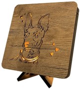 Li-Go "Faraonský pes" lampa 19x19cm provedení povrchu: bříza