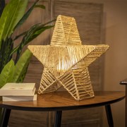 Vánoční stojací lampa hnědá 40 cm včetně LED IP54 dobíjecí - Sisine