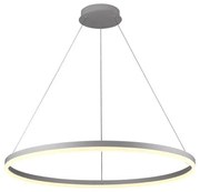 Brilagi -LED Stmívatelný lustr na lanku CIRCLE LED/55W/230V 3000-6500K stříb.+DO