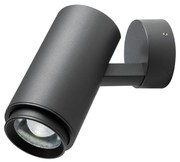 Redo 90066 Eagle, vekovní nástěnné/stropní svítidlo s nastavitelným úhlem vyzařování, LED 7W 3000K, výška 20cm, antracit, IP54