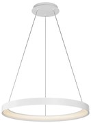 Top Light-LED St. lustr na lanku ORBIT LED/40W/230V 3000-6500K pr. 50 cm bílá+DO