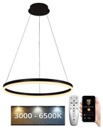 Brilagi - LED Stmívatelný lustr na lanku CIRCLE LED/42W/230V 3000-6500K + DO